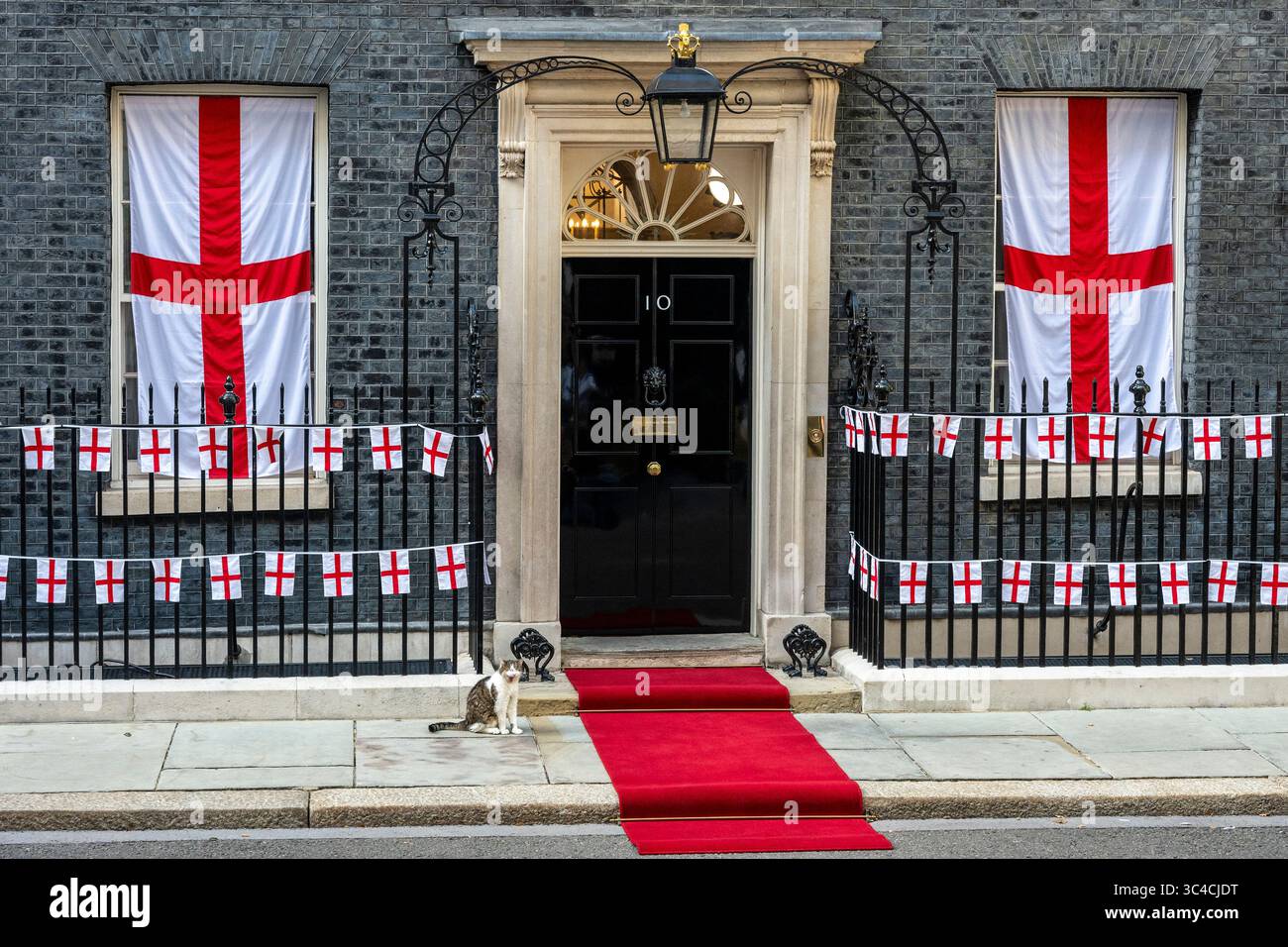 London, UK. 28 July 2025. Larry the cat yawning in a decorated Downing ...