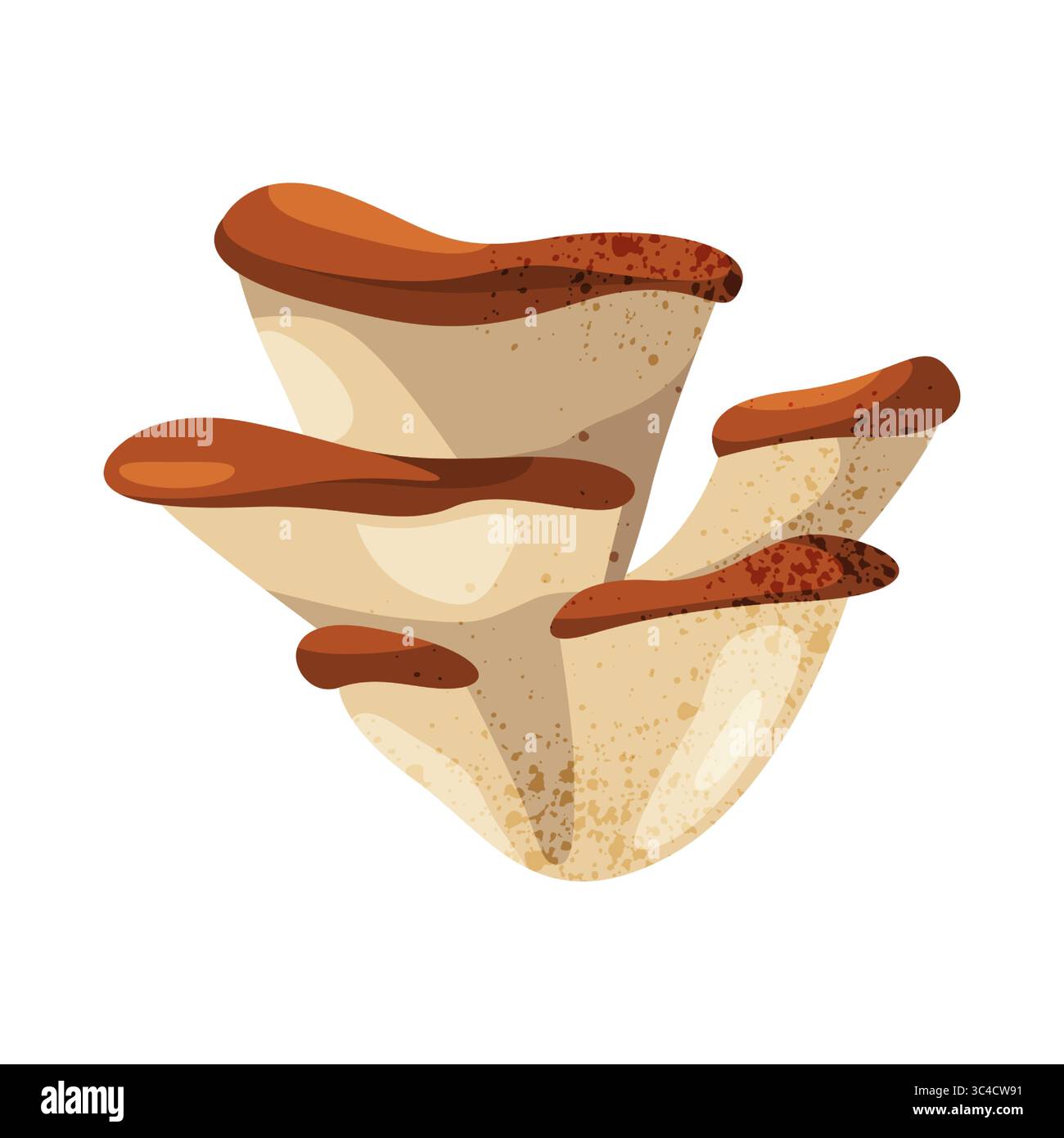 Abalone mushroom Stock Vector Images - Alamy