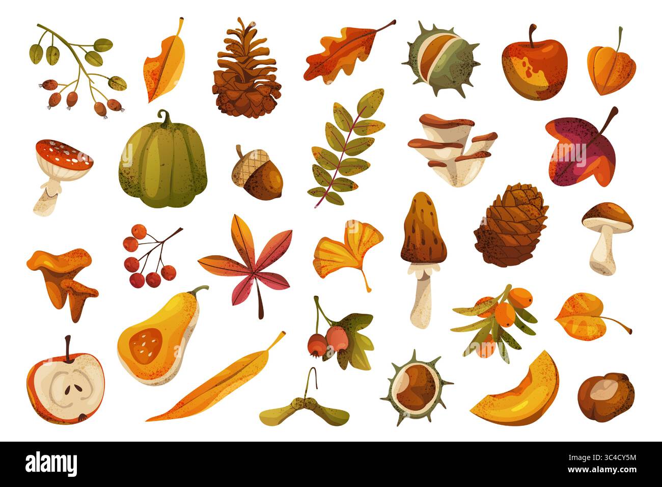Vector autumn or fall nature elements. Set of seasonal fruit and ...