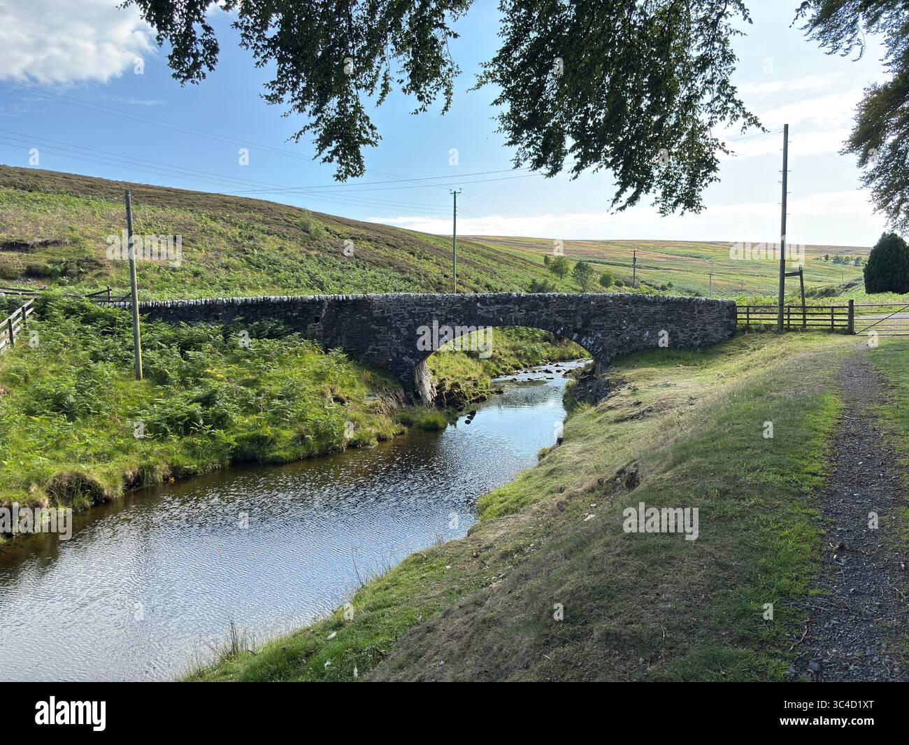 A historic single‑span stone arch bridge over the Dye Water, its ...