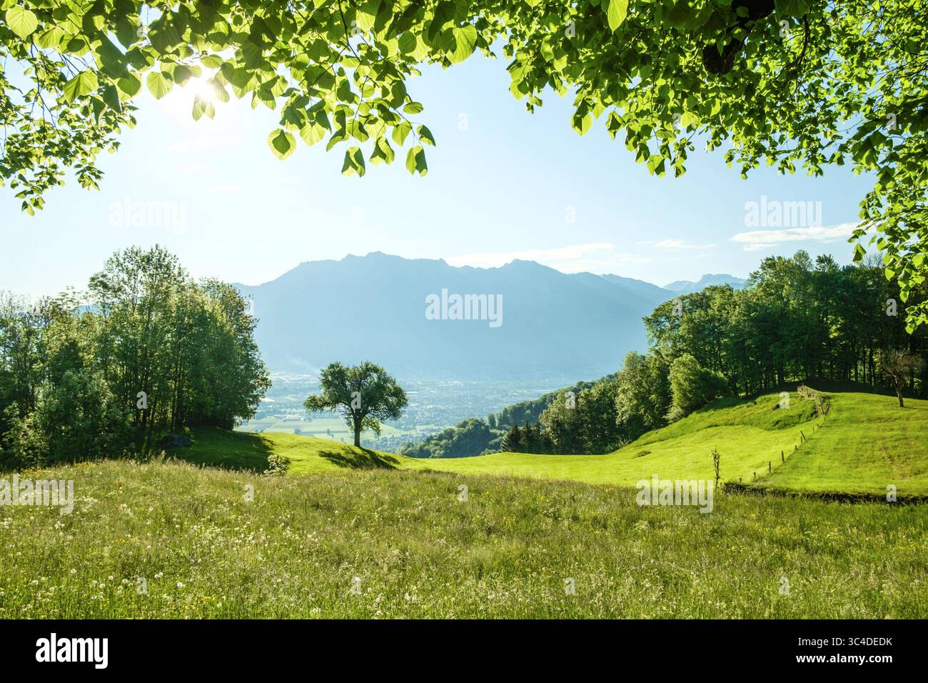 Idyllischer Blick in die Berge im Schweizer Hinterland. Buchs, St ...