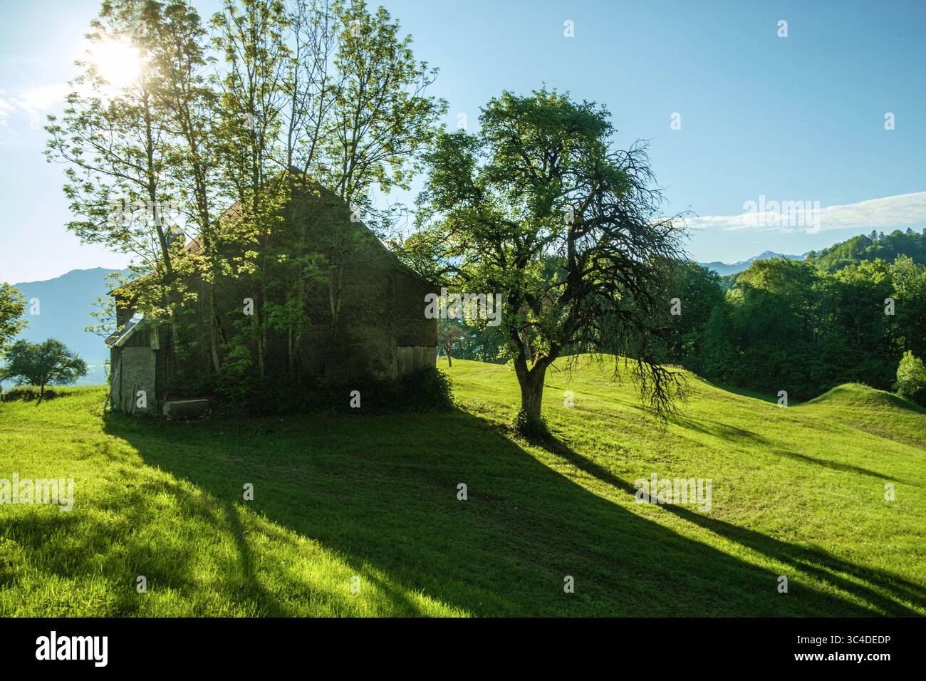 Idylle im Hinterland bei Buchs, St. Gallen, Schweiz Frühling im ...