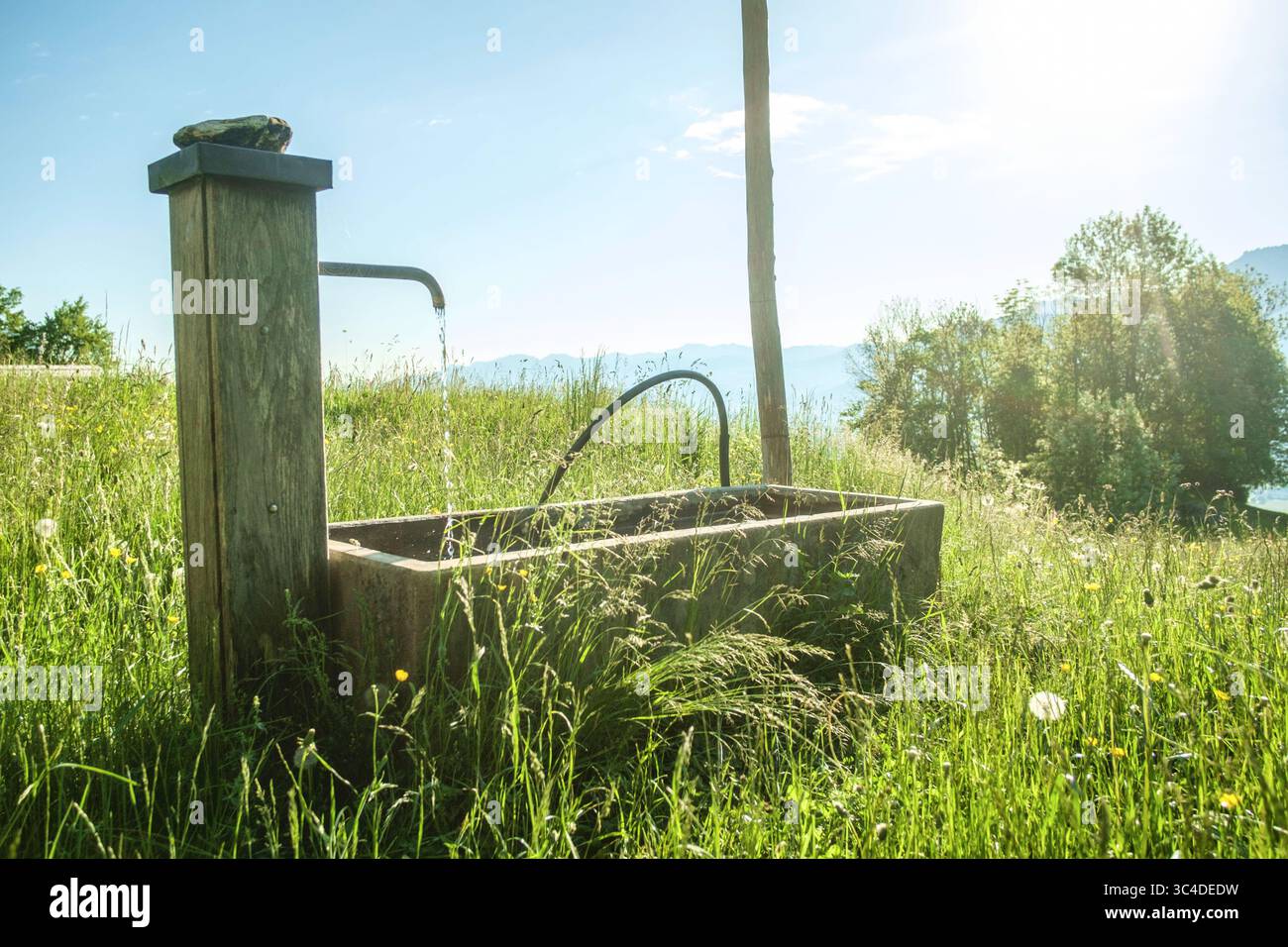 Idylle im Hinterland bei Buchs, St. Gallen, Schweiz Frühling im ...