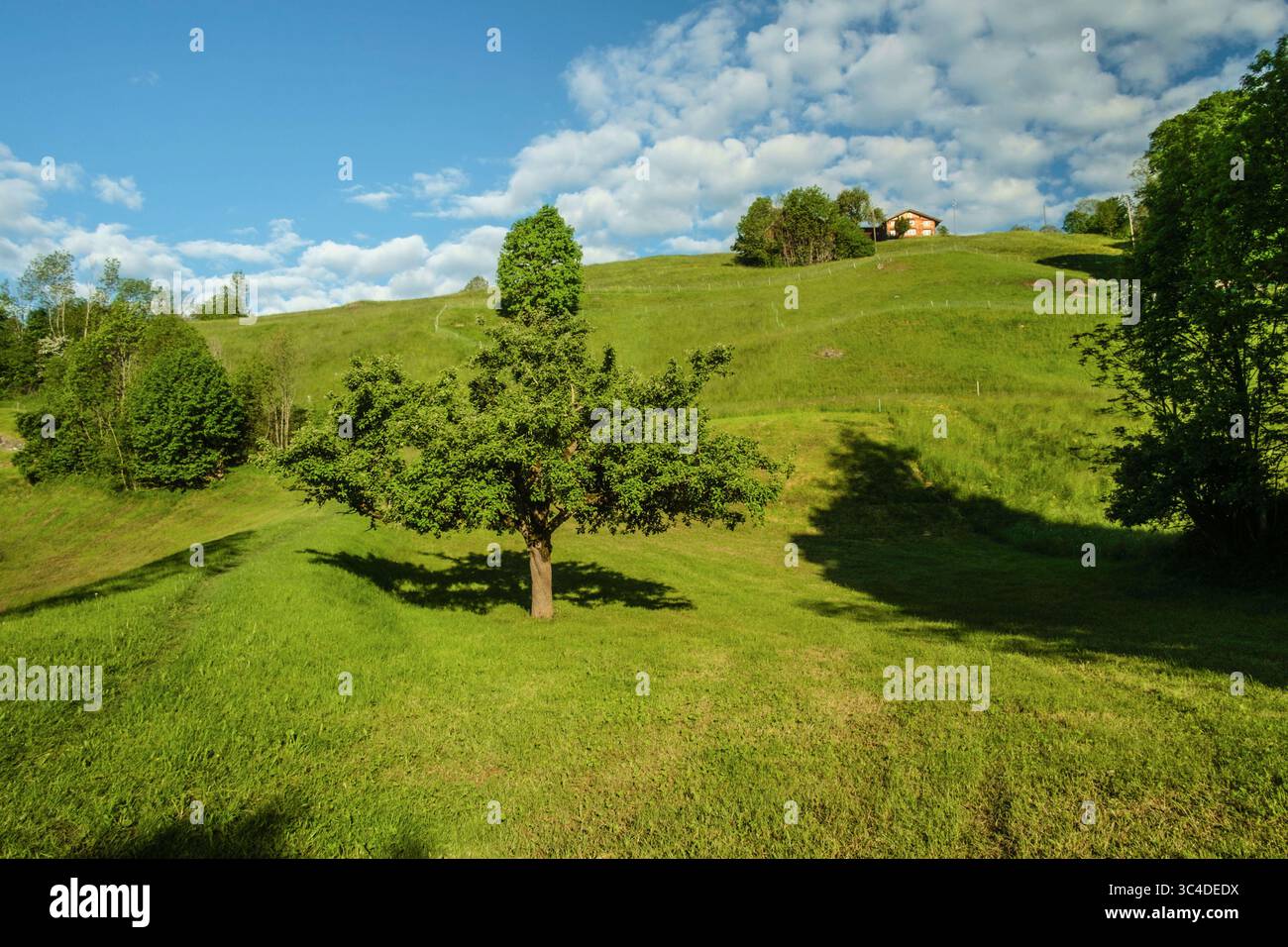 Idylle im Hinterland bei Buchs, St. Gallen, Schweiz Frühling im ...