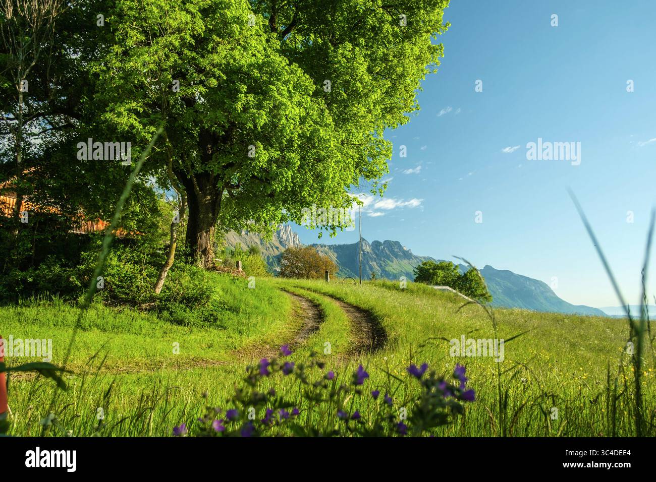 Idyllischer Blick in die Berge im Schweizer Hinterland. Buchs, St ...