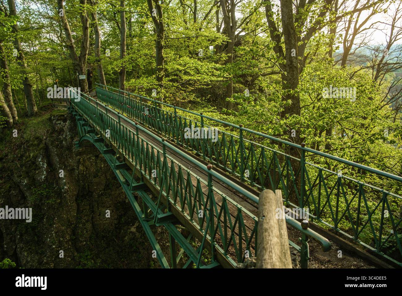 Eine Brücke führt zur RUine Rosenstein im Wald bei Heubach, Baden ...