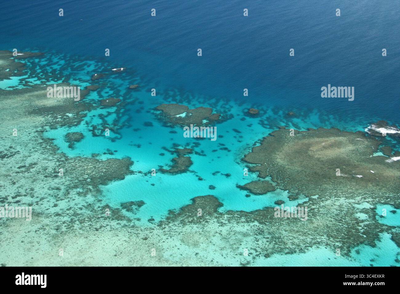 Great barrier reef bleaching aerial hi-res stock photography and images ...