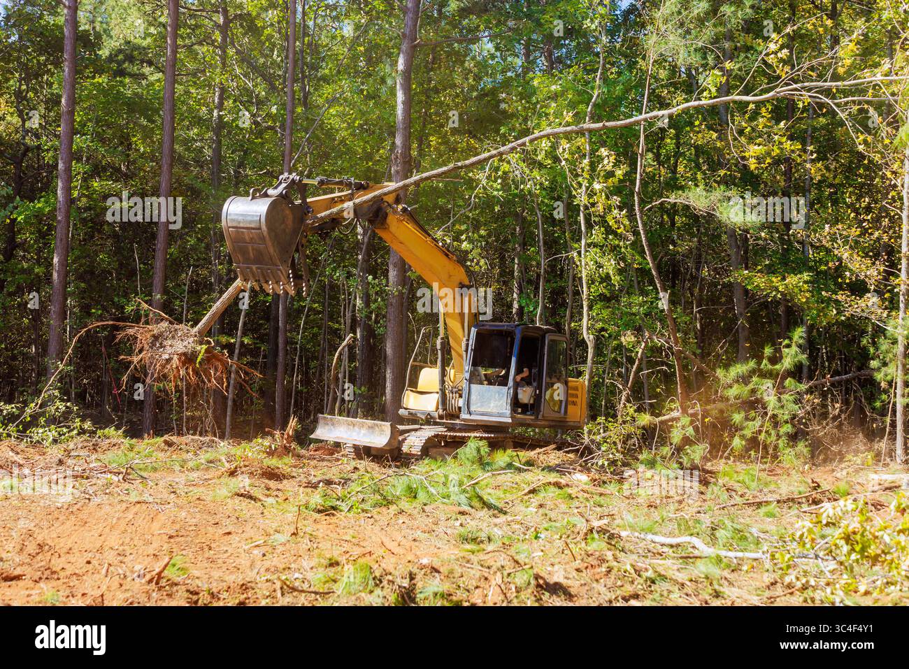 Worker with operates excavator to lift remove trees during clear ...