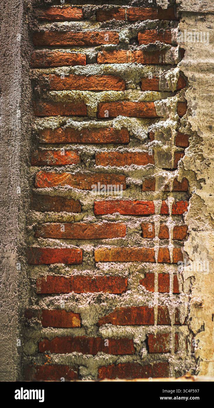 Red bricks neatly arranged to form a wall, showcasing construction ...