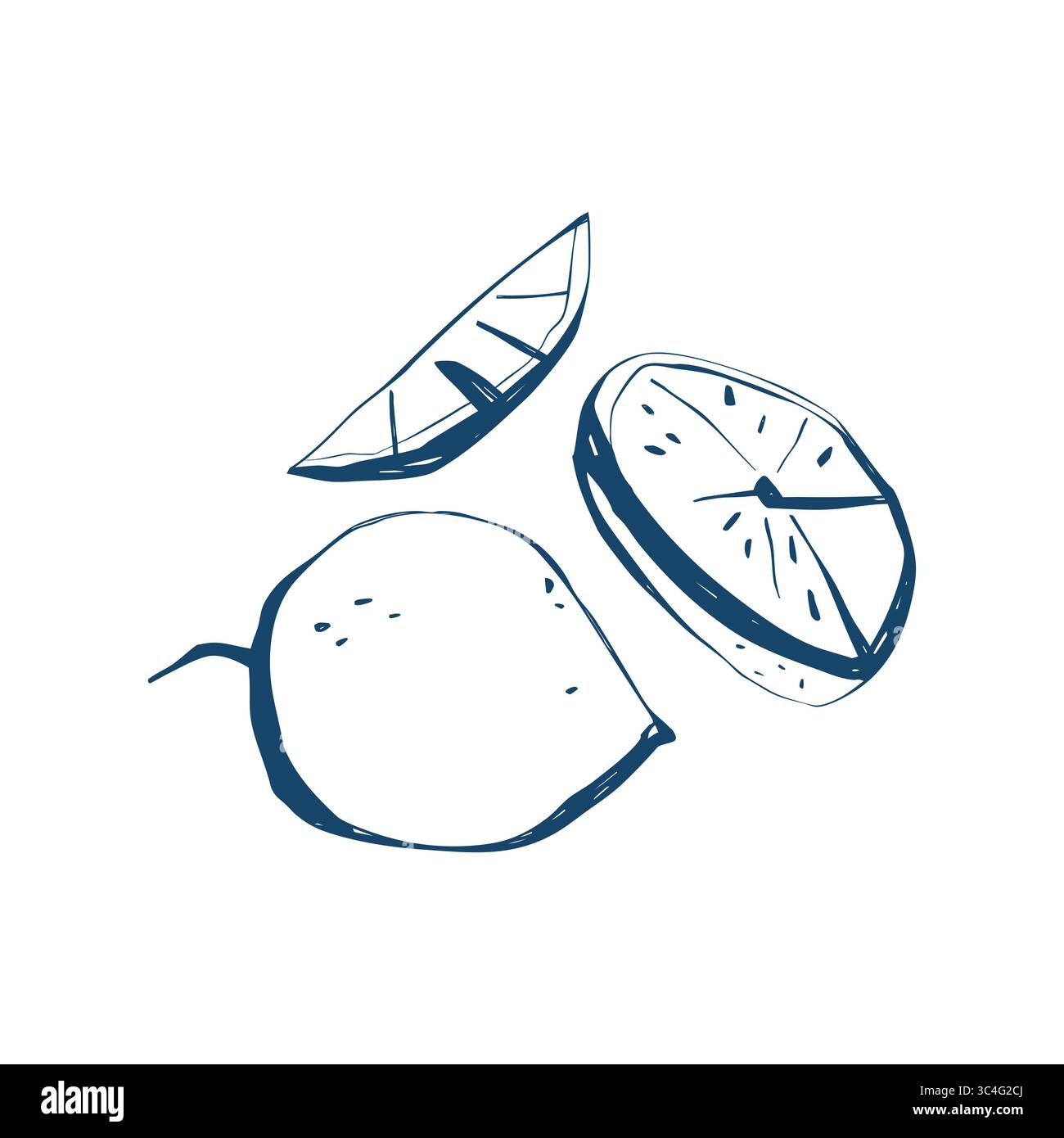 Sliced lemon hand drawn sketch with whole fruit wedge and half cross ...
