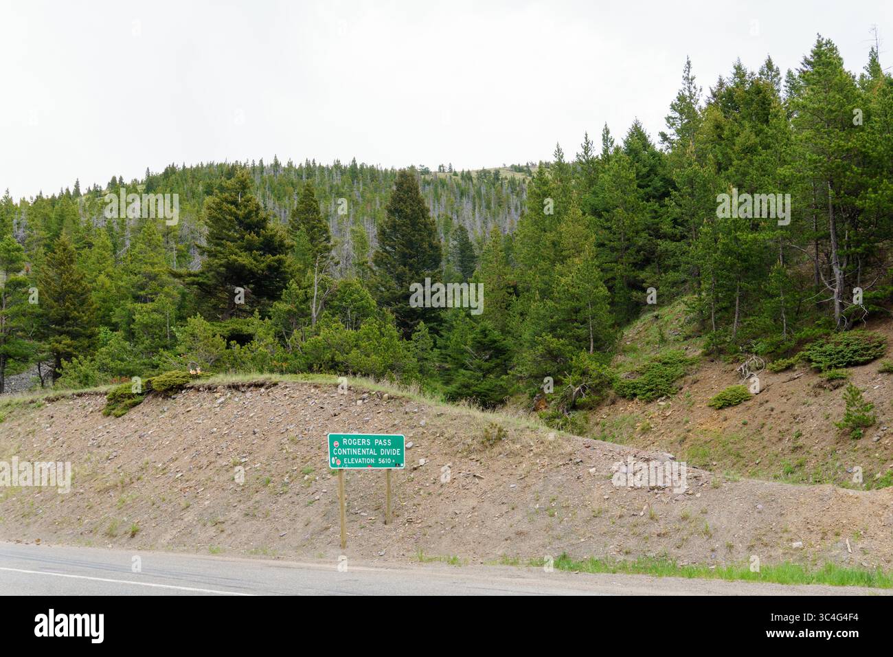 Rogers pass Montana Route 200, Continental divide Stock Photo - Alamy