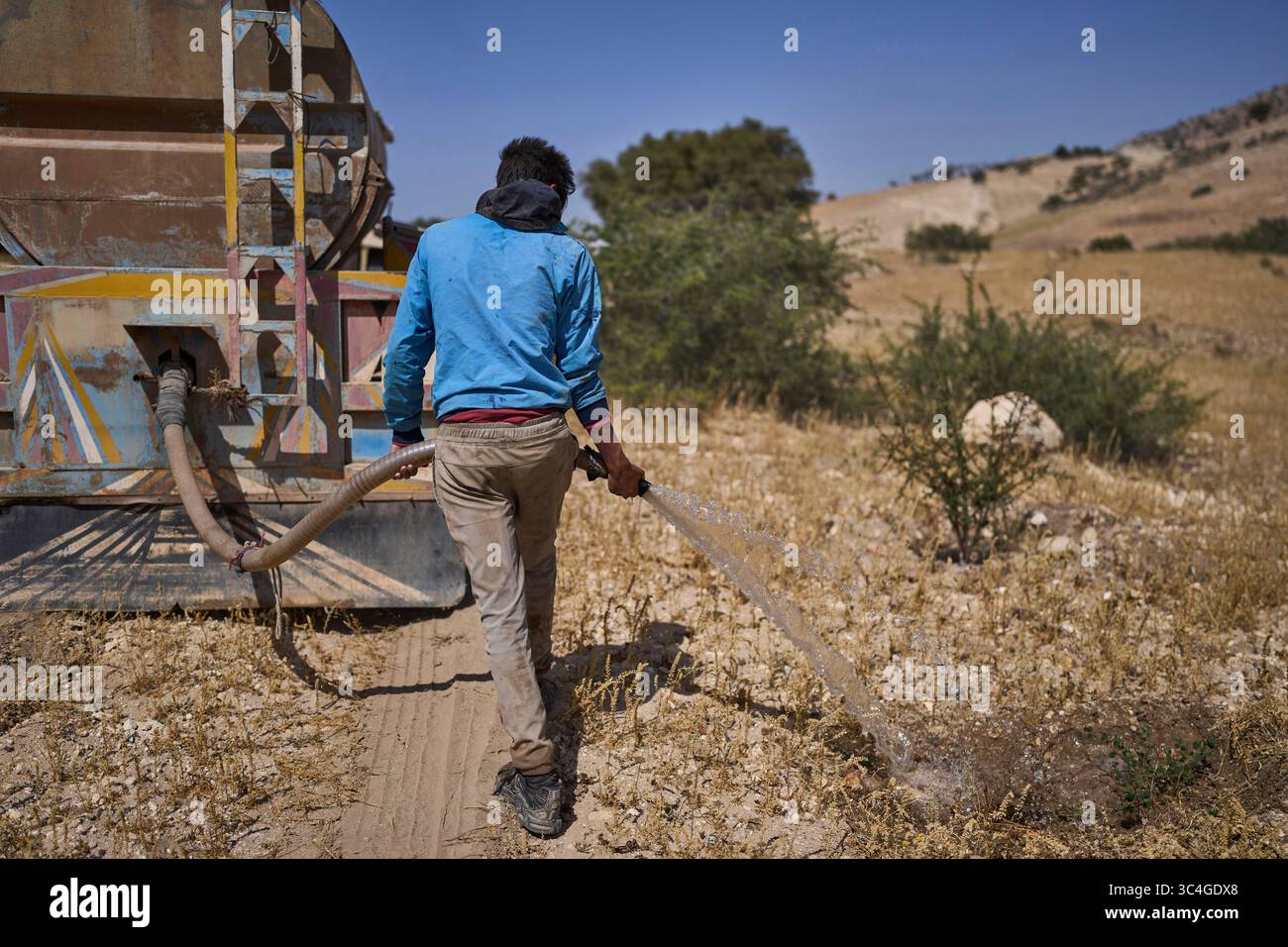 A worker from local government irrigates newly planted argan trees to ...