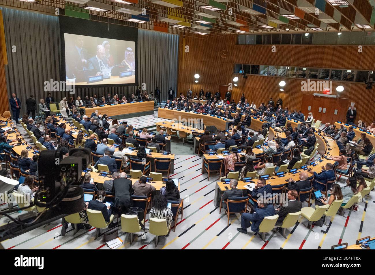 High-level International Conference for the Peaceful Settlement of the ...