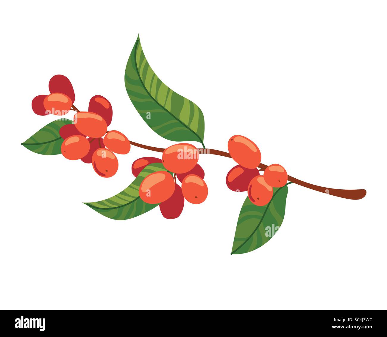 Green bean natural color Stock Vector Images - Alamy