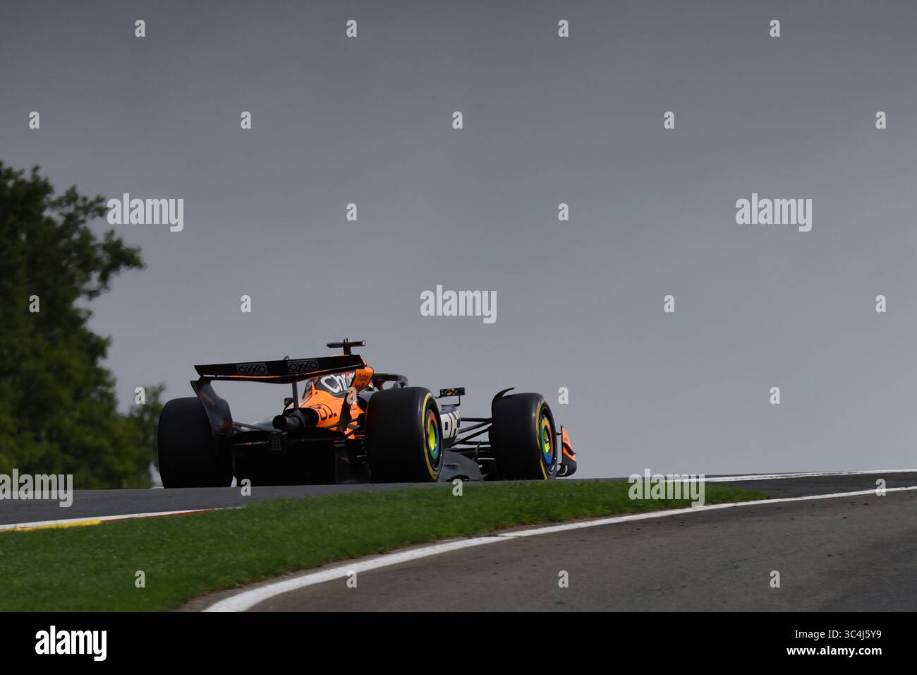#81 Oscar Piastri (AUS) McLaren F1 Team (GBR) MCL39/Mercedes during the ...