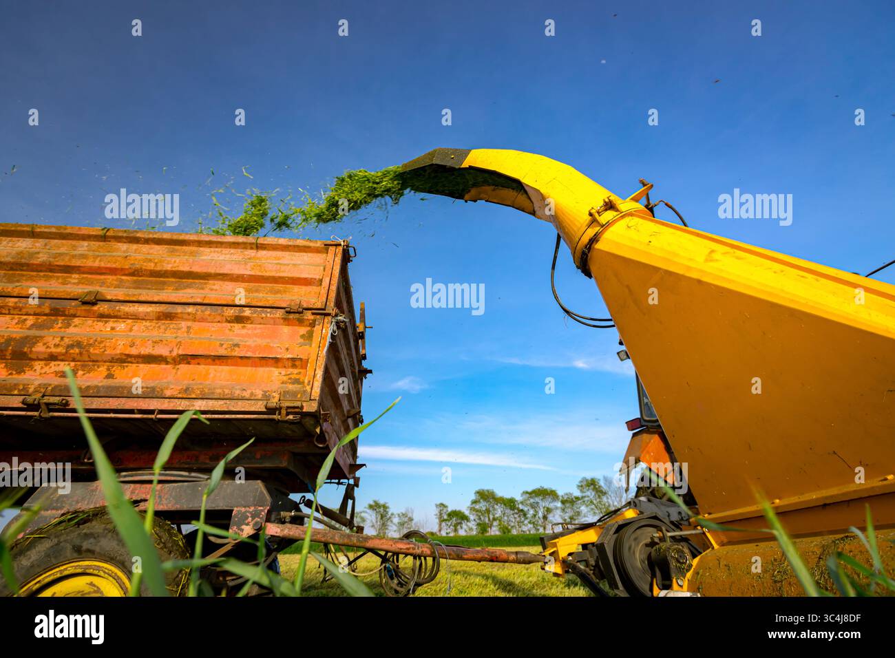 Silage process stocking feed hi-res stock photography and images - Alamy