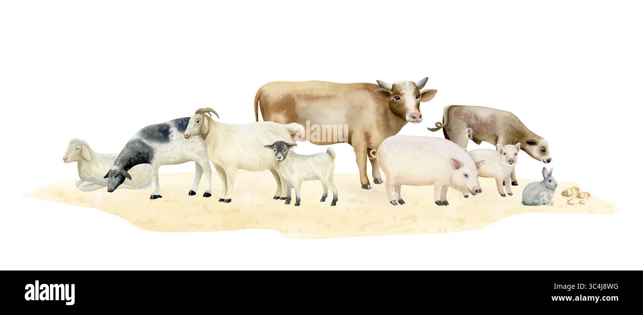 Watercolor farm animals on sand ground isolated illustration in cute ...