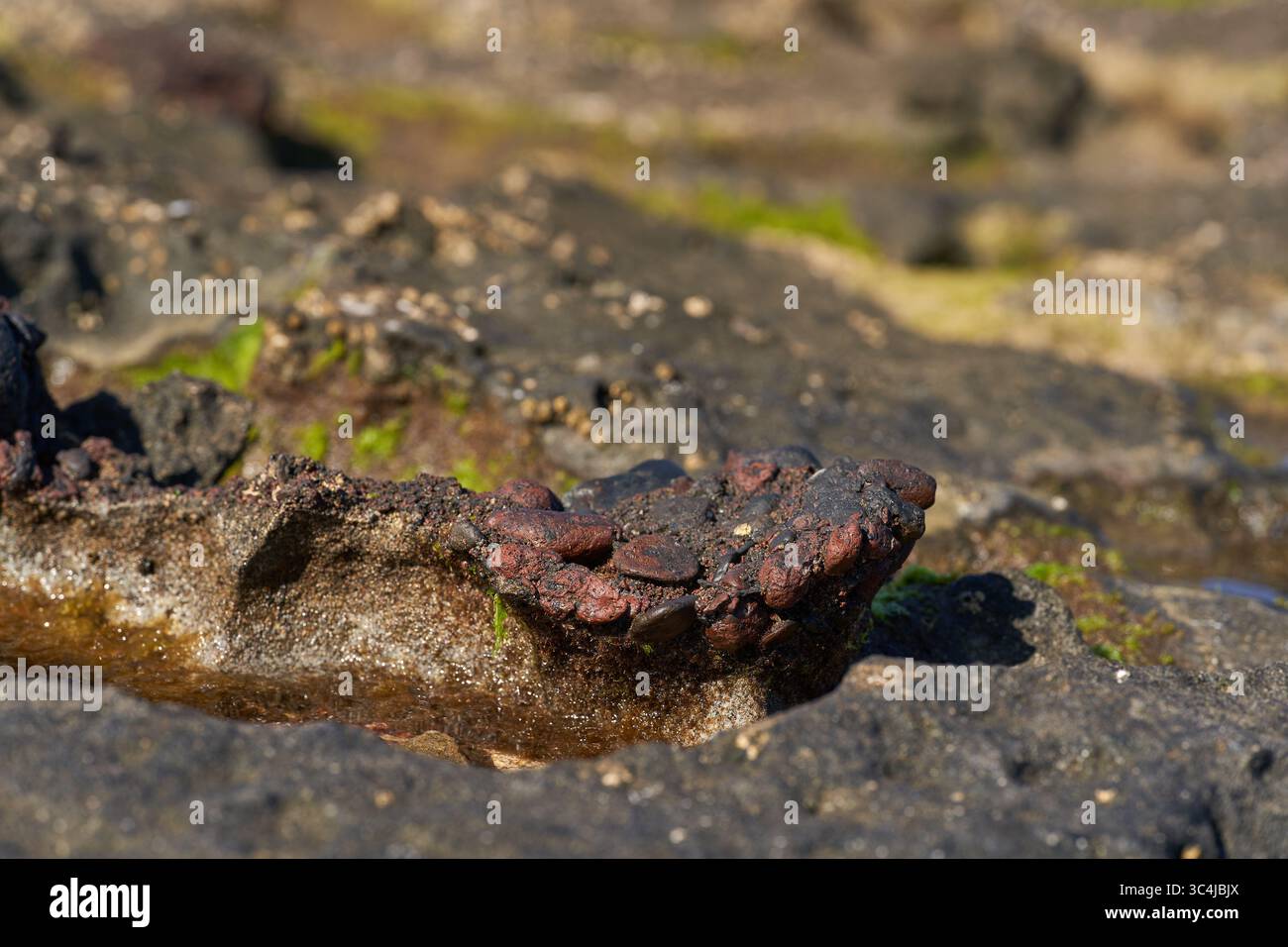 Volcanic rock formations playa hi-res stock photography and images - Alamy