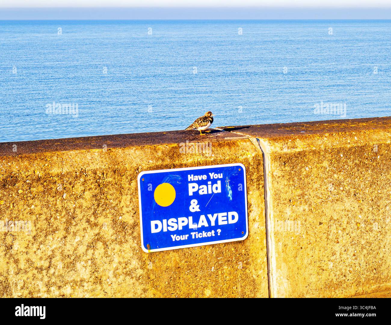 Paid displayed public car park hi-res stock photography and images - Alamy