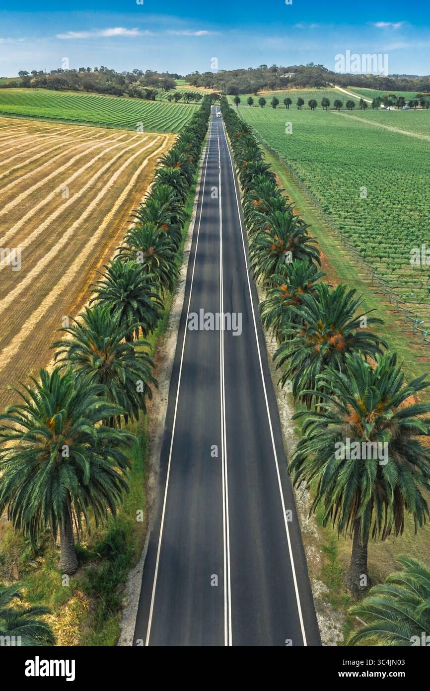 Stately palms hi-res stock photography and images - Alamy