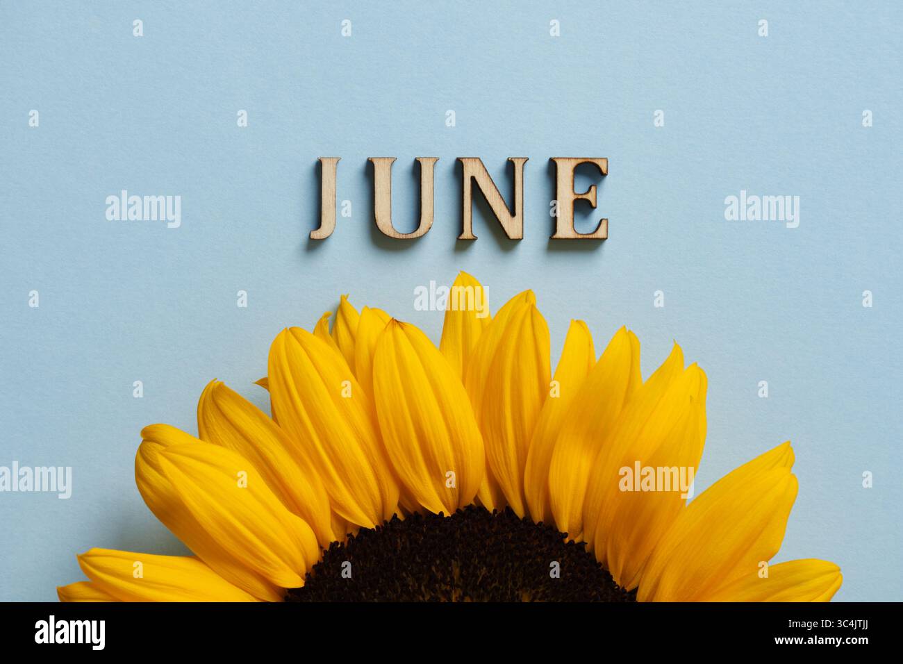 A bright yellow sunflower is set against a pastel blue background ...