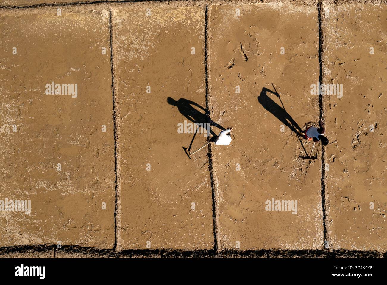 Aerial view of workers casting long shadows on the salt fields, their ...