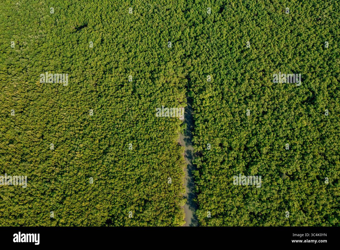 Narrow trail cuts between hi-res stock photography and images - Alamy