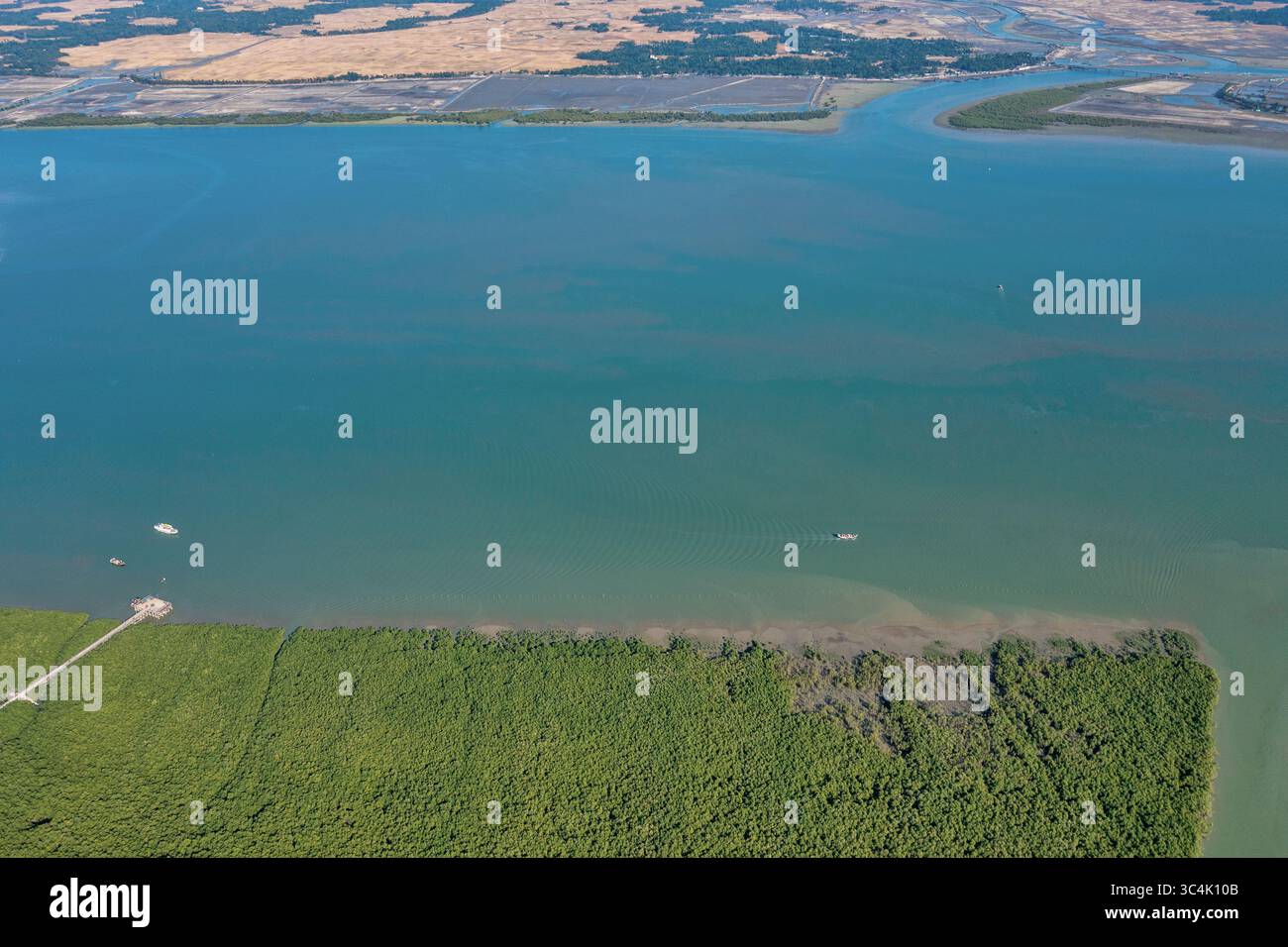 Aerial view of the vibrant green mangroves meeting the tranquil waters ...