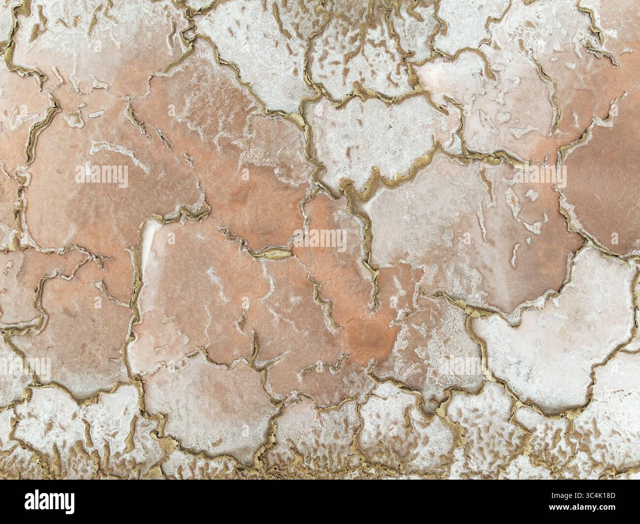 Salt marsh at the Skeleton Coast. Aerial view. Drone shot. Dorob ...