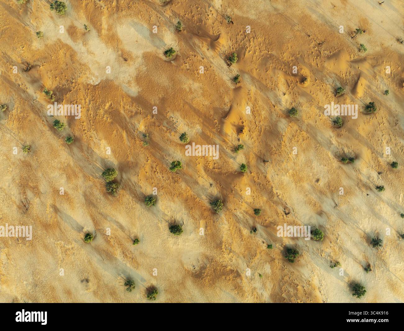 Aerial view of the Namib Desert's golden sands, textured by wind and ...