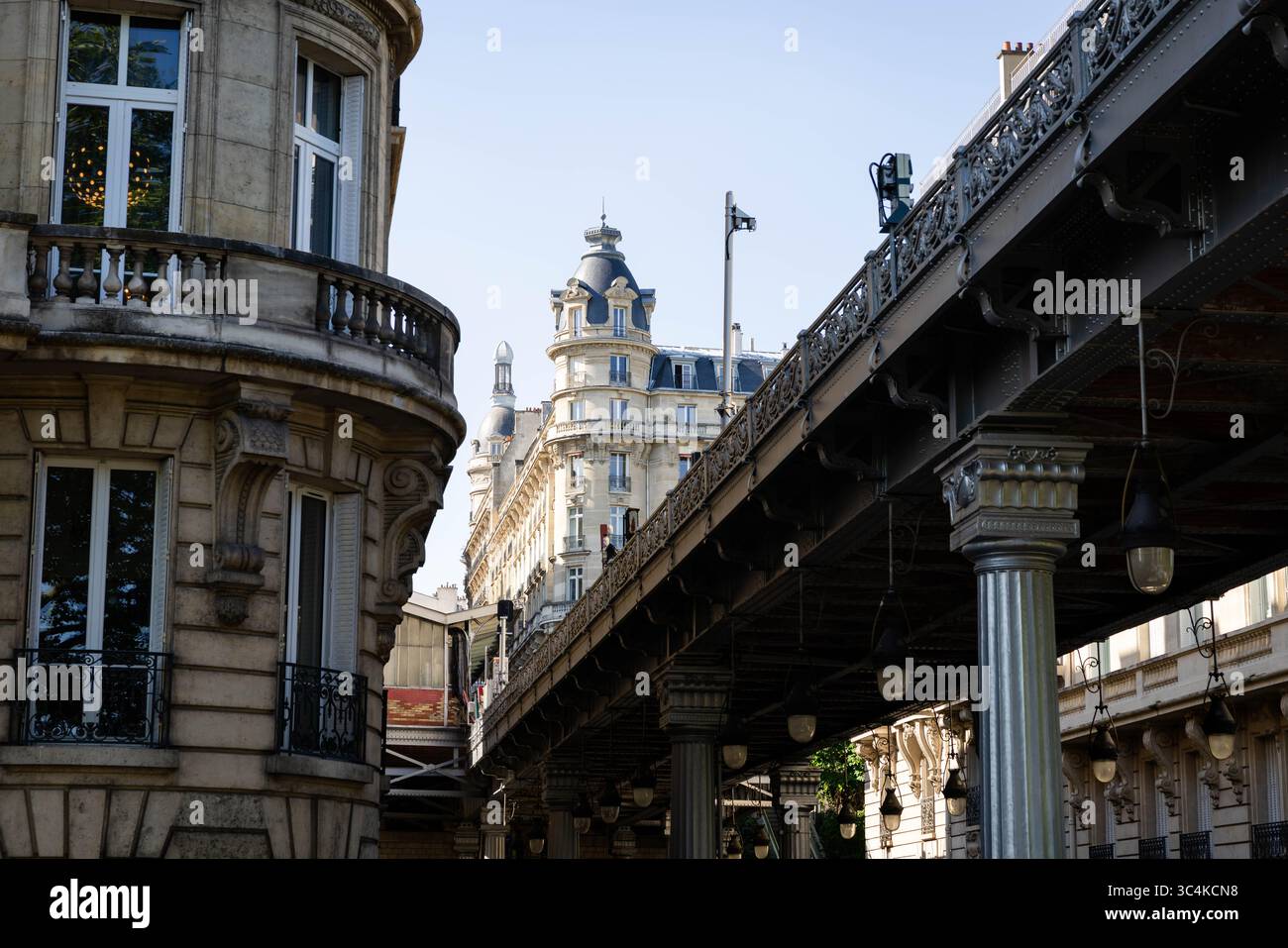 A Parisian cityscape featuring ornate Haussmannian architecture and a ...