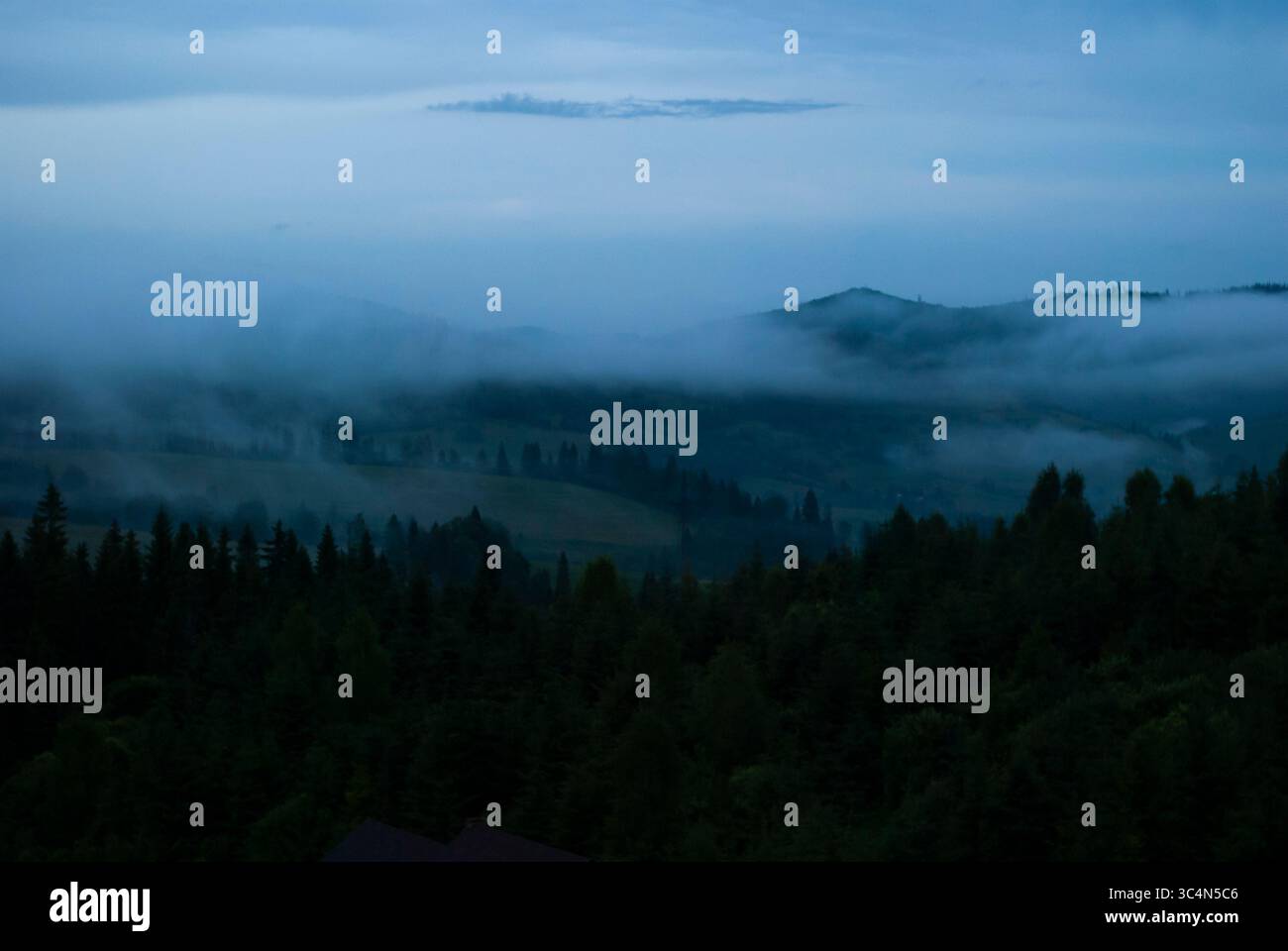 Soft sunset behind trees hi-res stock photography and images - Alamy