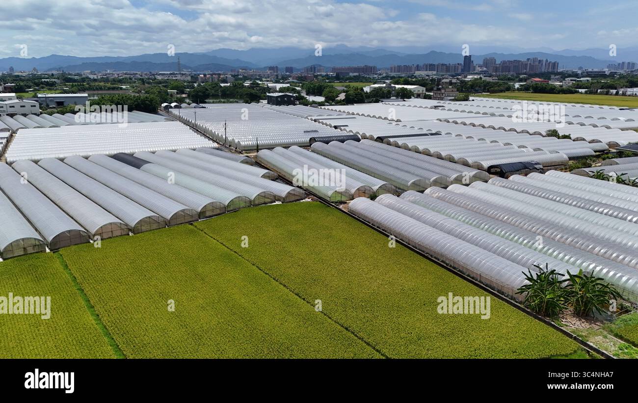 Top view greenhouses greenhouses hi-res stock photography and images ...