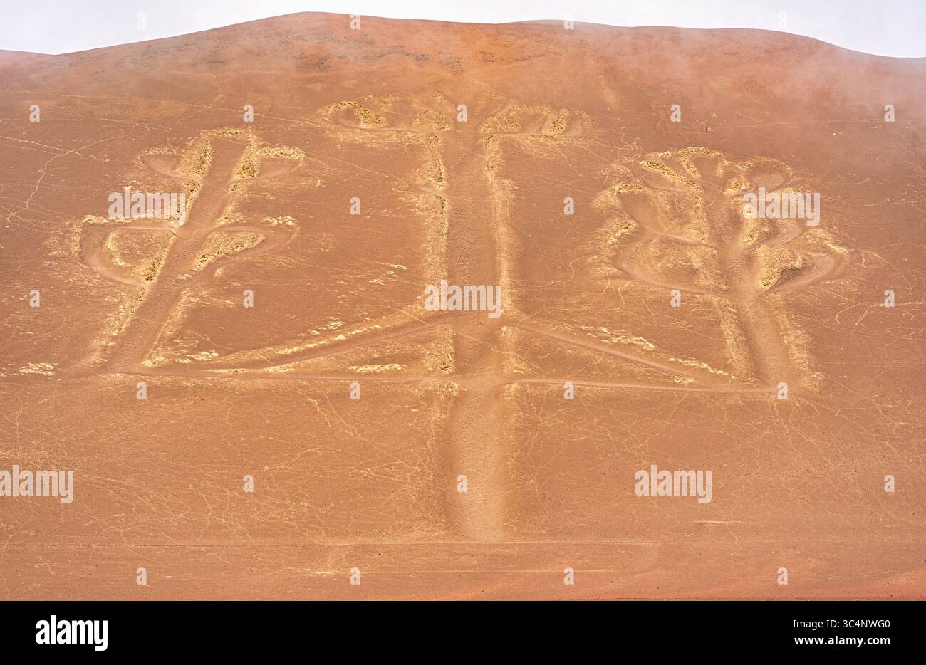 View of the ancient Candelabra geoglyph etched into the arid hillside ...