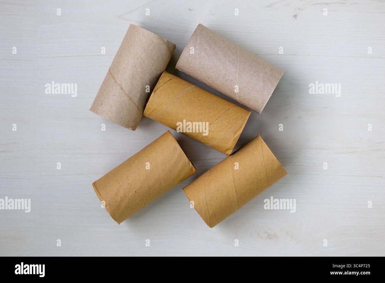 Empty toilet paper roll cores. Discarded paper tubes and cardboard ...