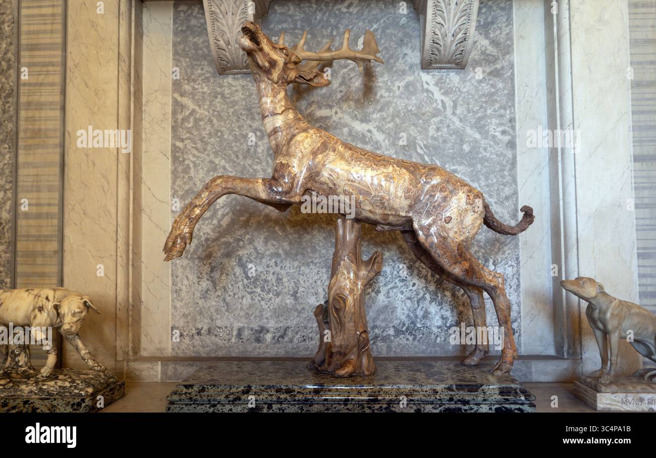 Vatican Museum Rome - Hall of the animals - The display in the two ...