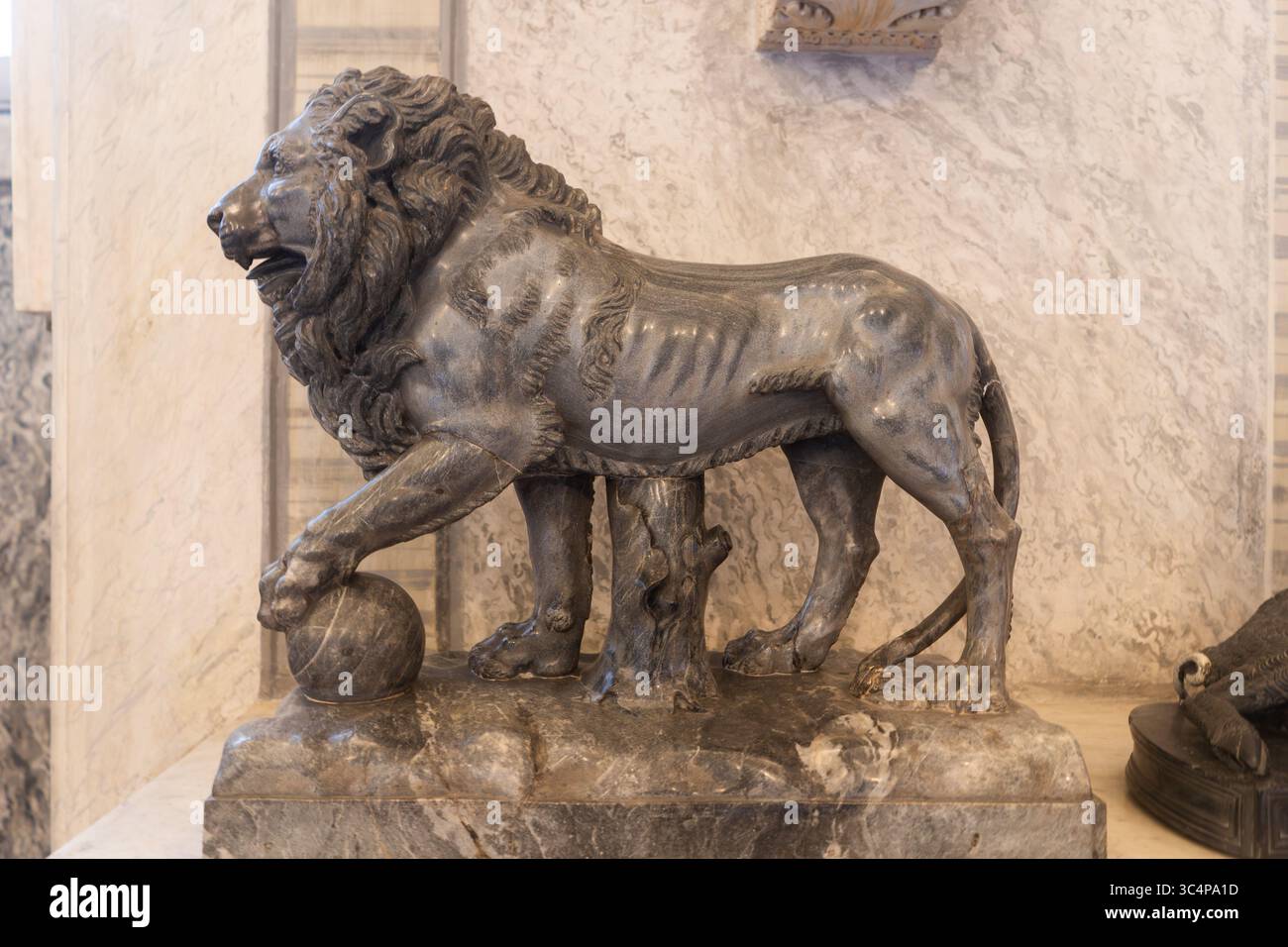 Vatican Museum Rome - Hall of the animals - The display in the two ...