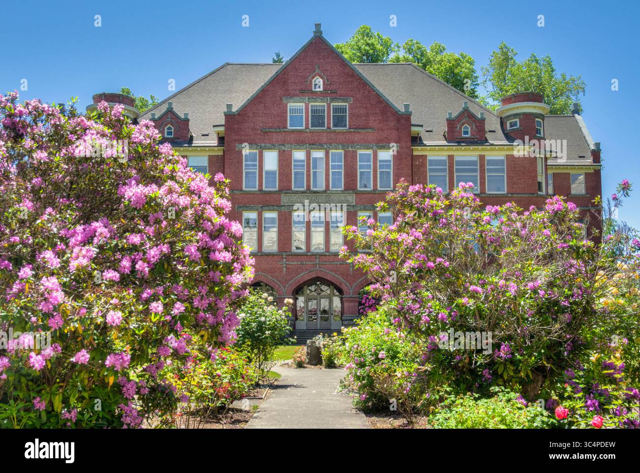 Sesquicentennial rose garden hi-res stock photography and images - Alamy
