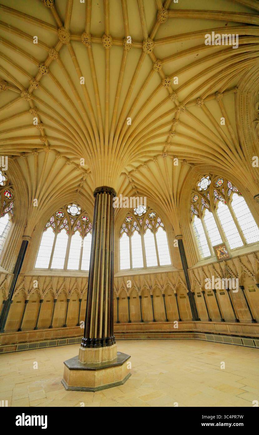Vaulted ceiling, Chapter house, Wells Cathedral, Somerset Stock Photo ...