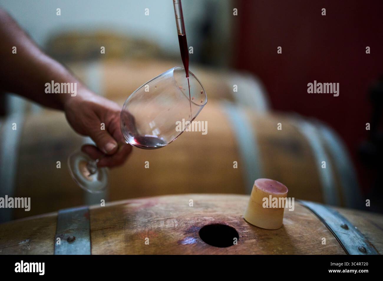 A winemaker takes a wine sample from a wine barrel in Navas del Rey, on ...