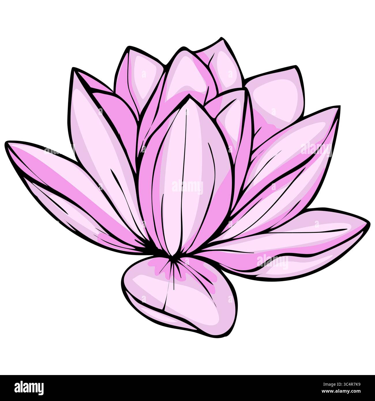 Showcasing intricate petal structure Stock Vector Images - Alamy
