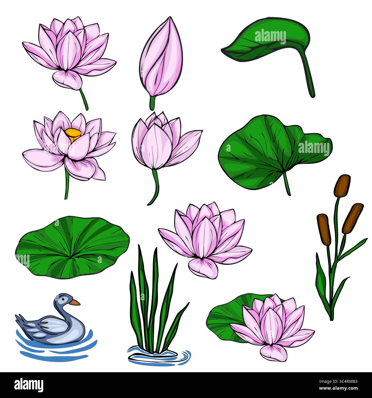 Serene duck Stock Vector Images - Alamy