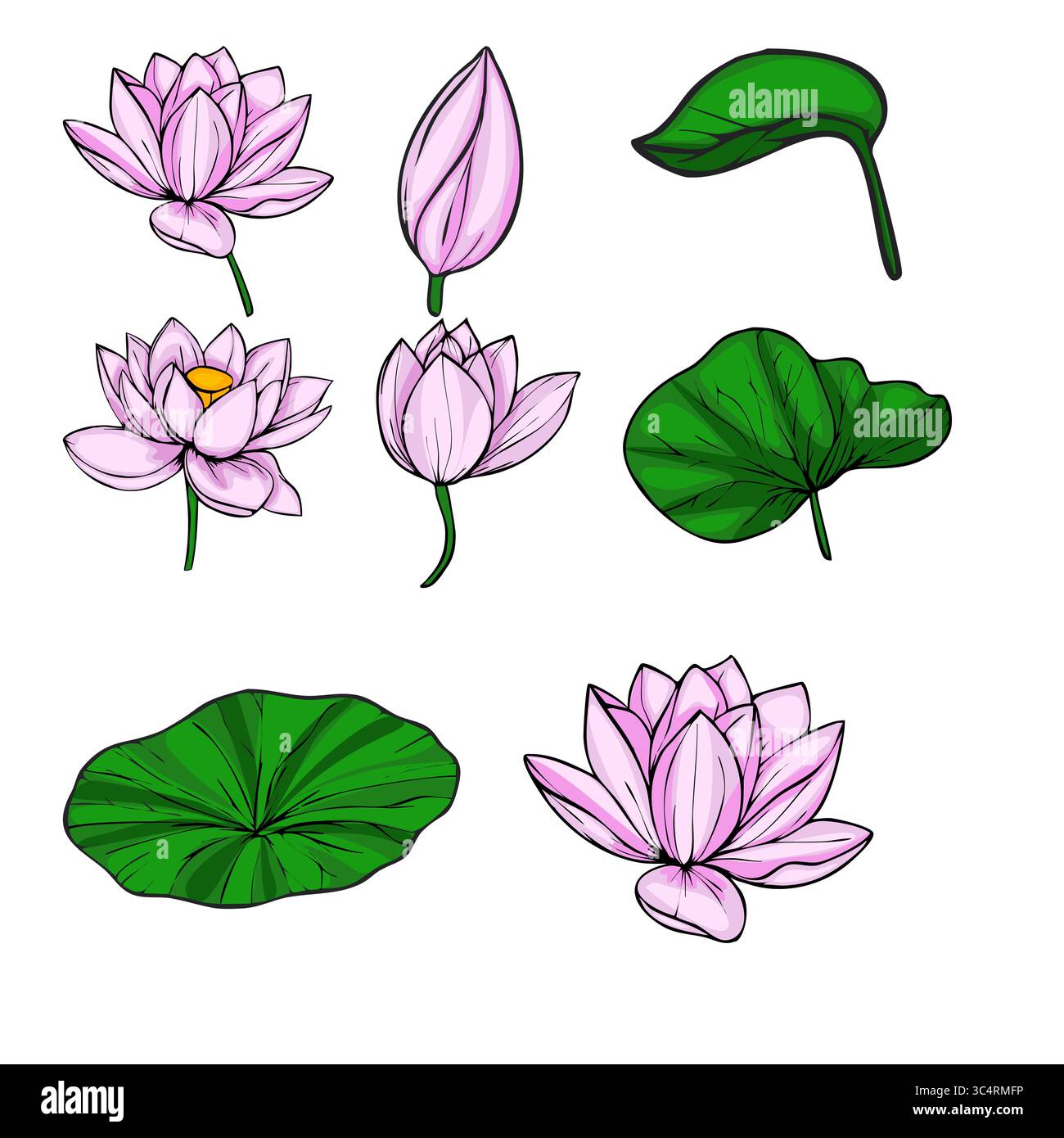 A meticulously Stock Vector Images - Alamy