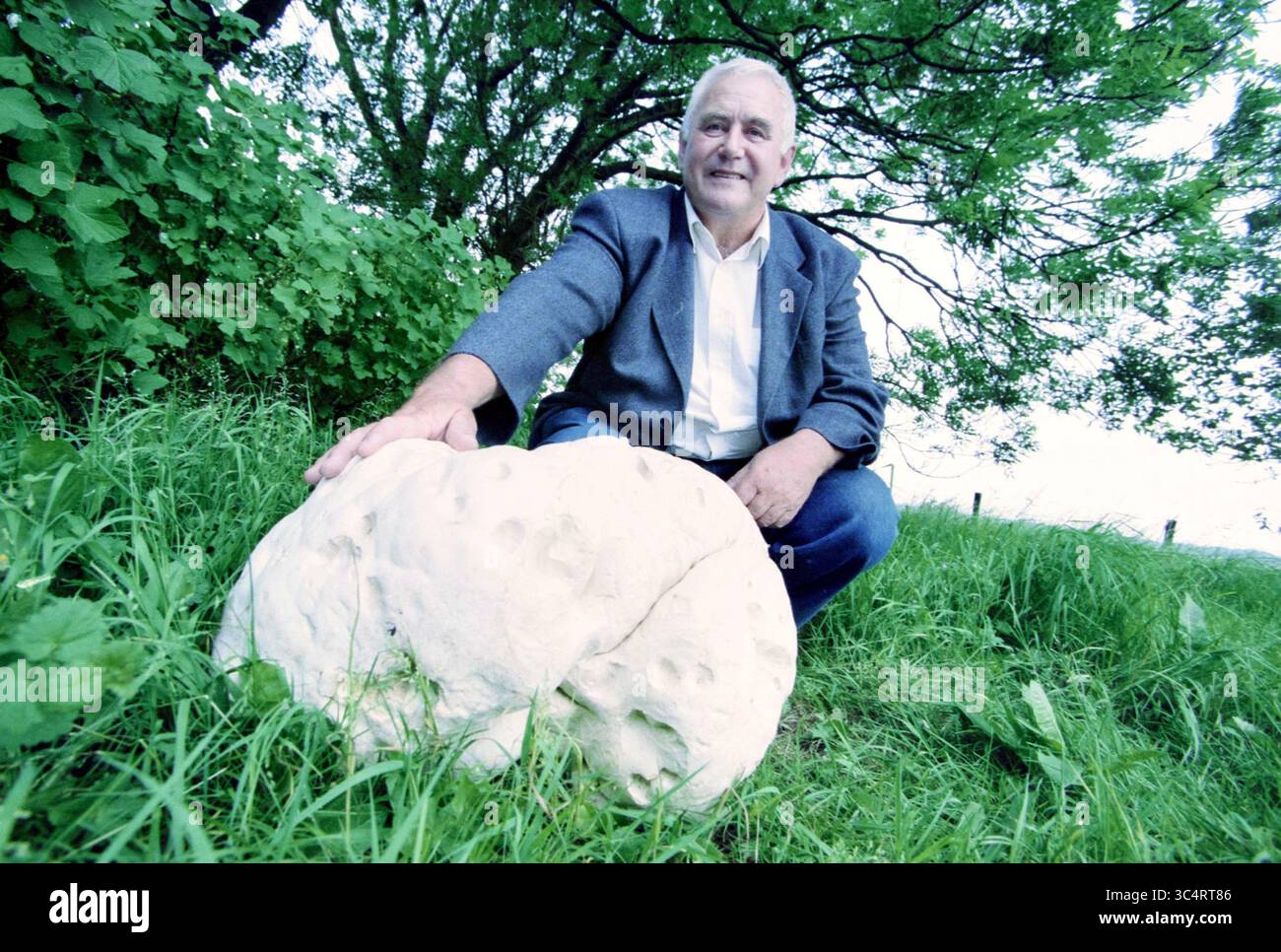 Giant Bolete, Spaarnwoude, Spaarnwoude, 27-05-1998 Whizgle News, Dutch ...