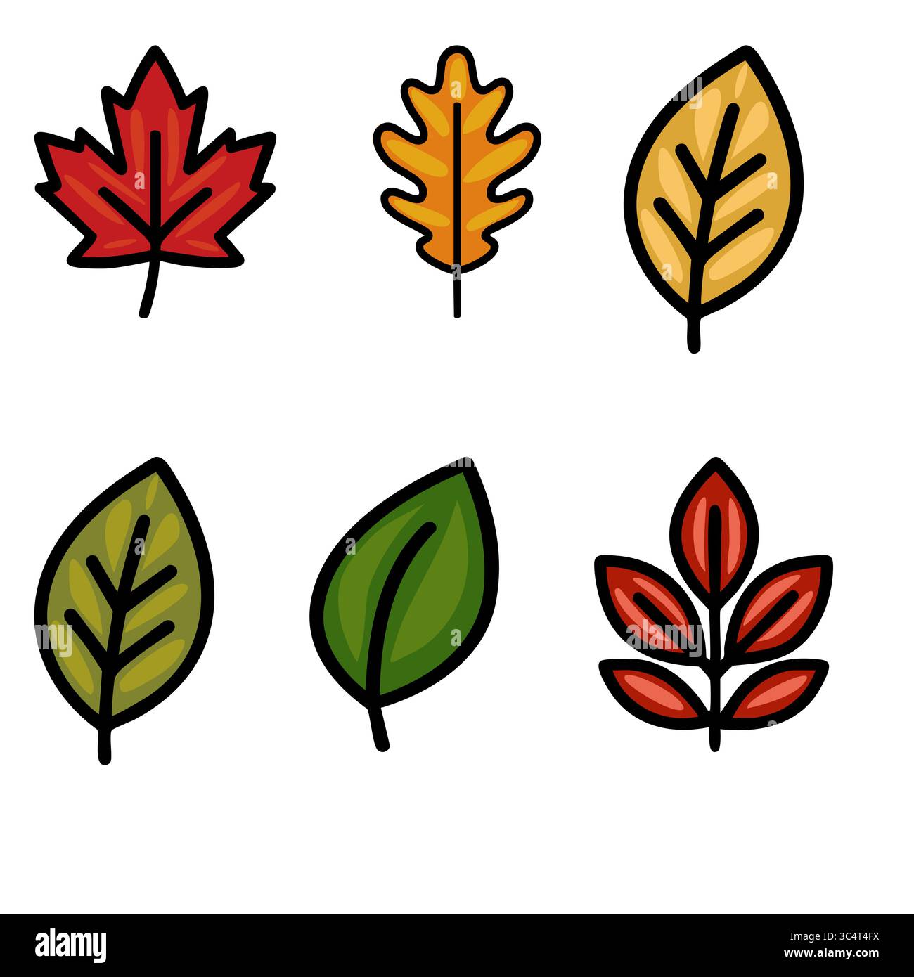 Collection of six diverse vector autumn leaves: maple, oak, and other ...