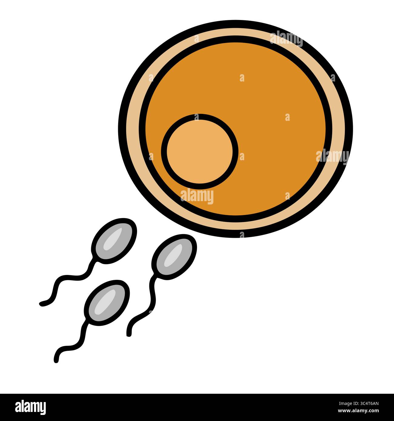 A stylized vector illustration depicting a single ovum with three sperm ...