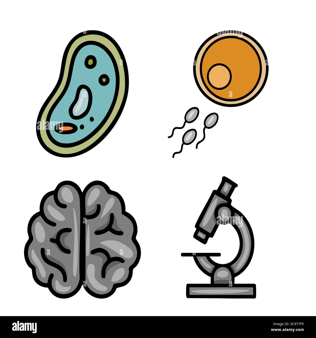 Illustration featuring icons representing Stock Vector Images - Alamy
