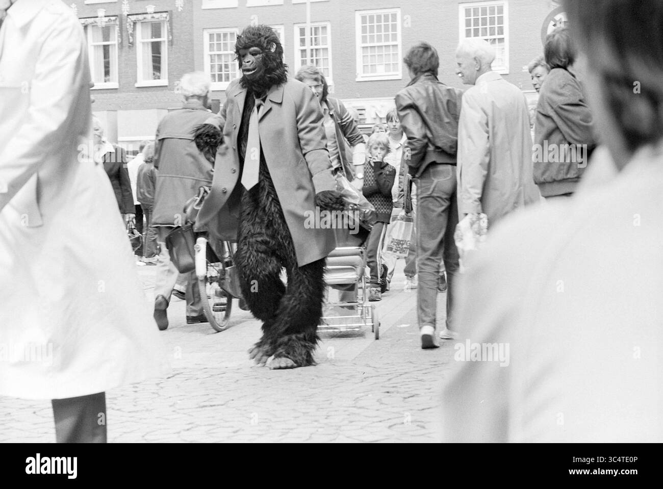Monkey filmed hi-res stock photography and images - Alamy