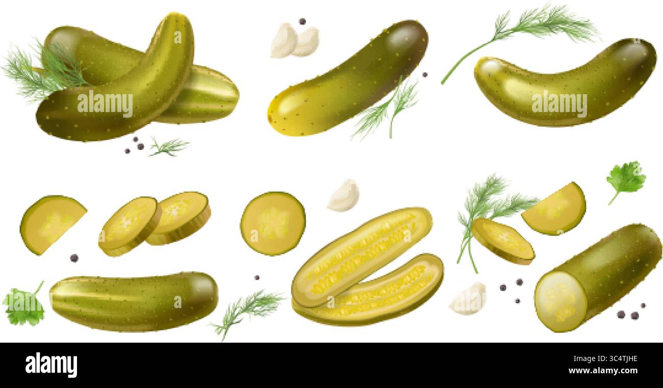 Pickled cucumbers. Realistic pickle cucumber, gherkin gourmet sour food ...