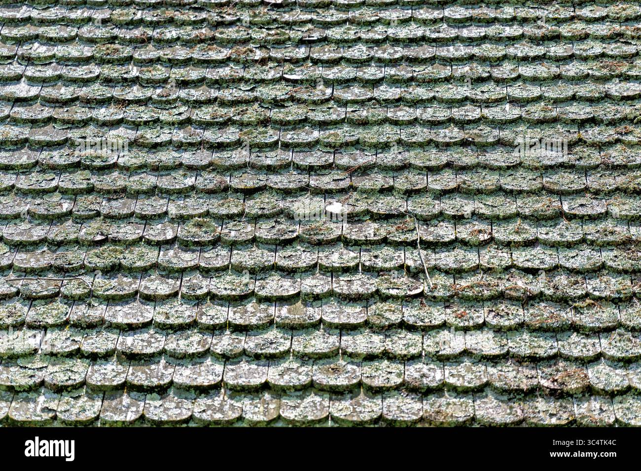 Hand split shingles hi-res stock photography and images - Alamy
